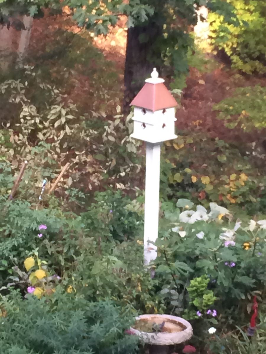 This is a beautiful bird house. Should last a really long time. Have ...