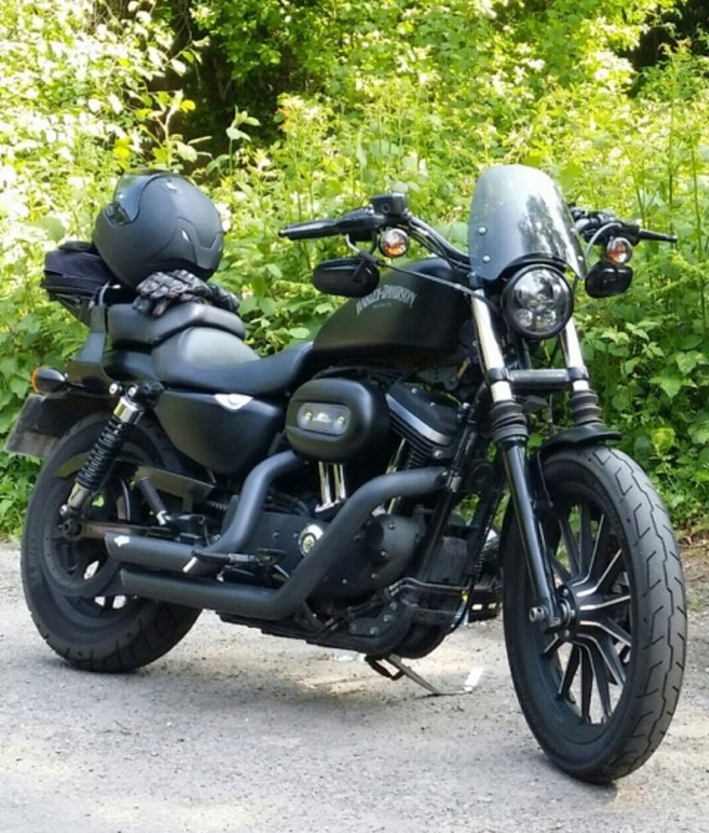 My Harley Iron 883 with the classic screen