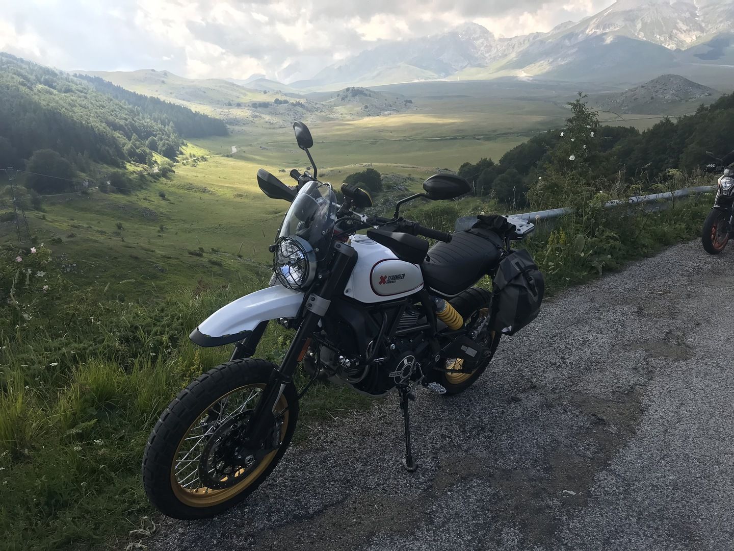 I was in between the Dart and the OEM for my Desert Sled, I ended up ...