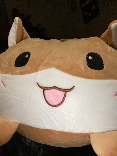 pluffi Reviews - 63 Reviews | pluffi.com