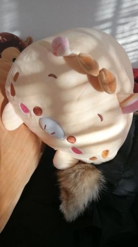 pluffi Reviews - 60 Reviews | pluffi.com