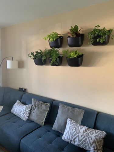 WallyGrow Reviews - 515 Reviews | wallygrow.com