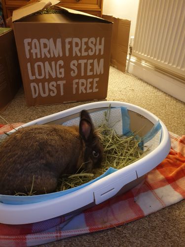 Photo Reviews by Real People | Loox