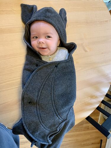 AnkleBitersKids Reviews - 118 Reviews | anklebiterskids.myshopify.com