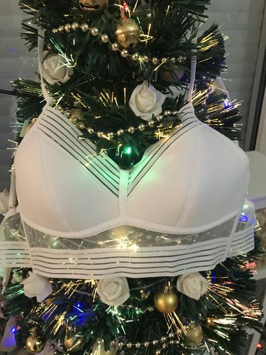 LilyBra Avis - 477 Avis | lilybra.myshopify.com