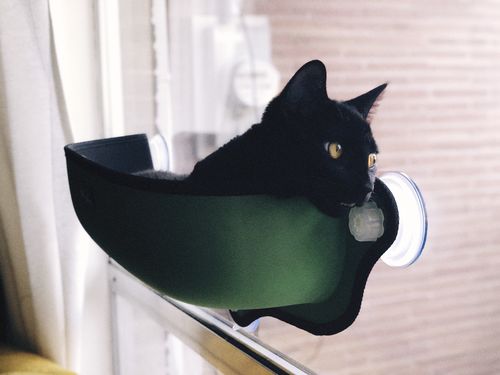 The Purr House Reviews - 42 Reviews | thepurrhouse.com