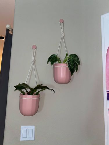 WallyGrow Reviews - 546 Reviews | wallygrow.com