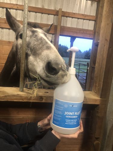 100X Equine, LLC Reviews - 622 Reviews | 100xequine.com