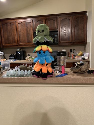 Octo Buddy Reviews - 428 Reviews | octobuddy.co