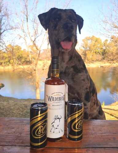 Bundu Brands Reviews - 50 Reviews | bundubrands.co.za