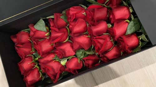 Rosata Floral Reseñas - 31 Reseñas | rosata.mx