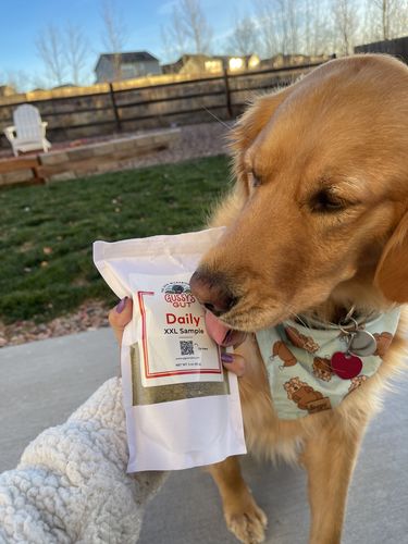 Gussys Gut Reviews - 76 Reviews | gussysgut.com