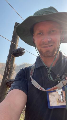 TDMI Training Reviews - 532 Reviews | www.tdmi.co.za