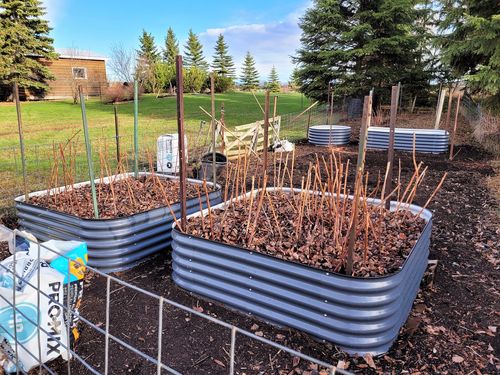 Sproutbox Garden Reviews - 216 Reviews | www.sproutboxgarden.com