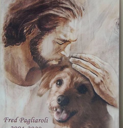 Ciaocustom Reviews - 74 Reviews | ciaocustom.com