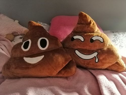 Poop Face Emoji Pillows - Mavigadget