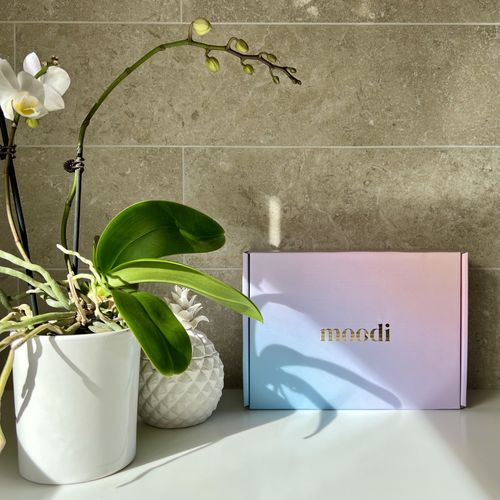 Moodi Reviews - 60 Reviews | www.moodiblends.com