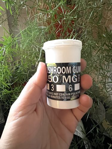 PSILO MART Reviews - 53 Reviews | www.psilomart.com