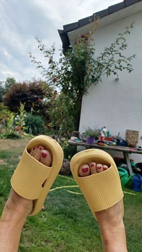Pummys™ Bewertungen - 1,706 Bewertungen | pummys.com