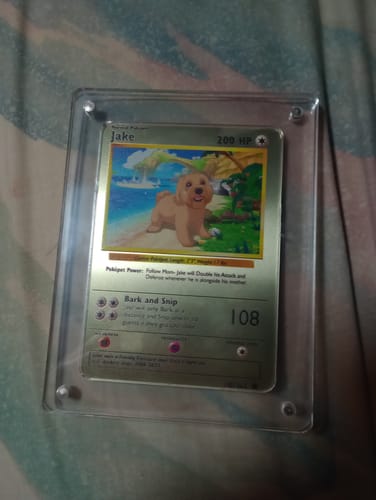 Poke Pet Shop Reviews - 11,235 Reviews | www.pokepetshop.com