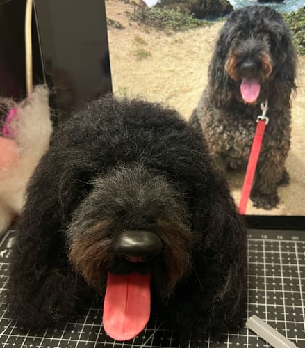 My Woolever Friend Reviews - 136 Reviews | mywooleverfriend.com