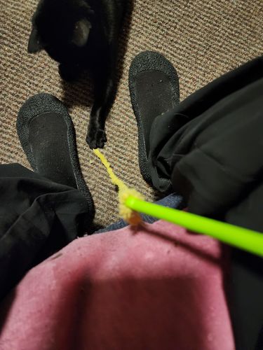 Goat Grip™ Reviews - 239 Reviews | thegoatgrip.com