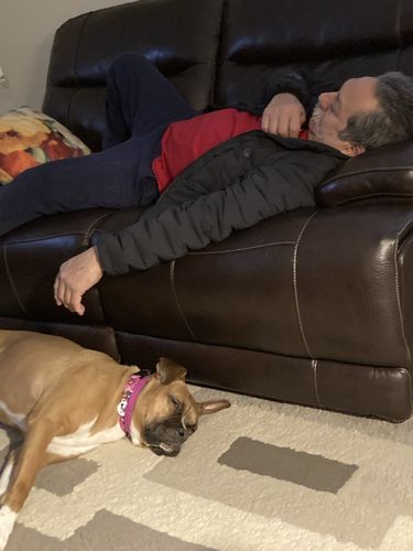 FurLife™ Reviews - 172 Reviews | www.getfurlife.co