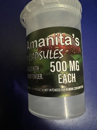 Trade Ready LLC Reviews - 441 Reviews | psilomart.myshopify.com