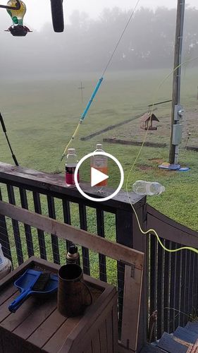 ZipString Reviews - 620 Reviews | zipstring.com