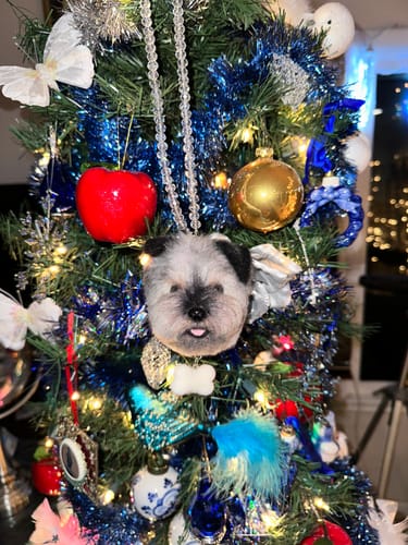 My Woolever Friend Reviews - 189 Reviews | mywooleverfriend.com