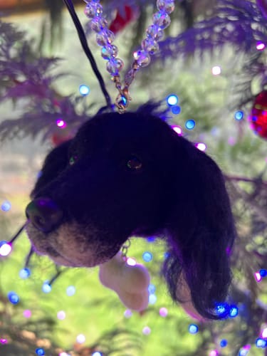 My Woolever Friend Reviews - 189 Reviews | mywooleverfriend.com