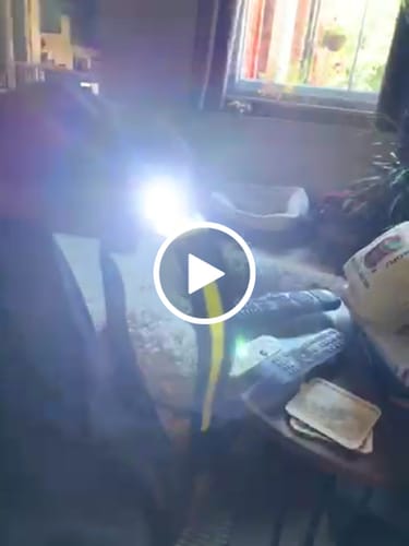 Othemo Reviews - 1,714 Reviews | othemo.com