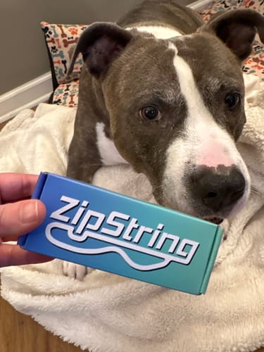 ZipString Reviews - 1,543 Reviews | zipstring.com