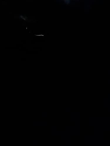 Othemo Reviews - 1,714 Reviews | othemo.com