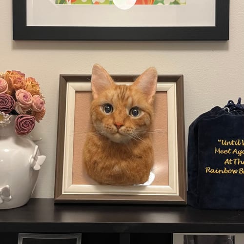 My Woolever Friend Reviews - 189 Reviews | mywooleverfriend.com