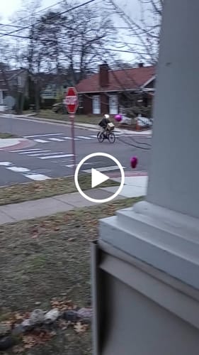 Othemo Reviews - 1,714 Reviews | othemo.com