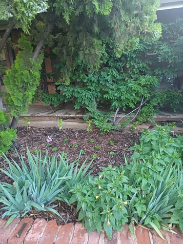 GardenBrite Reviews - 2,454 Reviews | gardenbrite.com.au