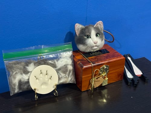 My Woolever Friend Reviews - 189 Reviews | mywooleverfriend.com