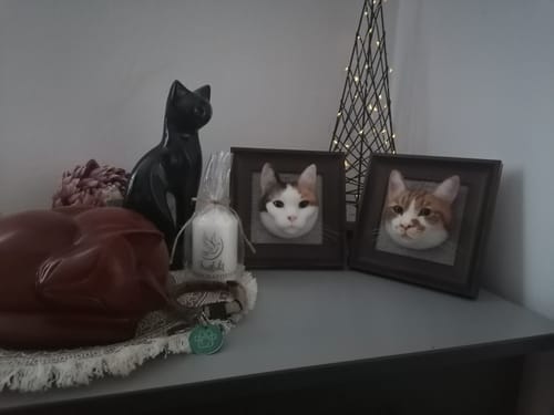 My Woolever Friend Reviews - 189 Reviews | mywooleverfriend.com