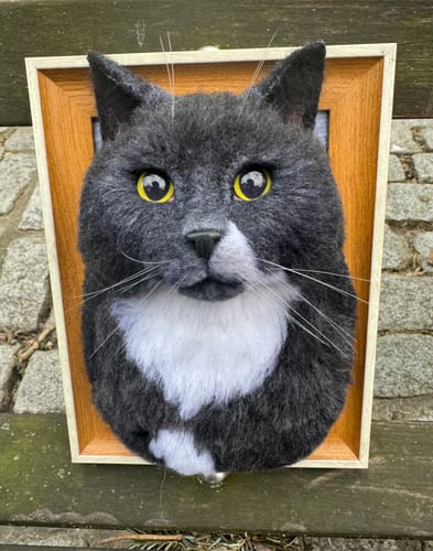 My Woolever Friend Reviews - 189 Reviews | mywooleverfriend.com