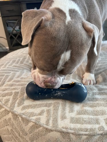 Freezbone Reviews - 2,046 Reviews | www.freezbone.com