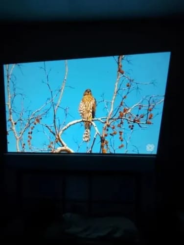 Cinemaster Pro Reviews - 1,130 Reviews | www.cinemaster-pro.com