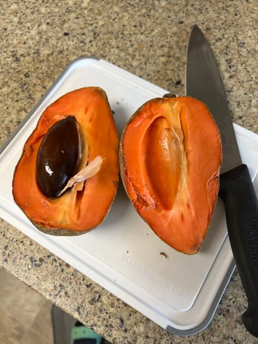 Miami Fruit Reviews - 7,216 Reviews | miamifruit.org