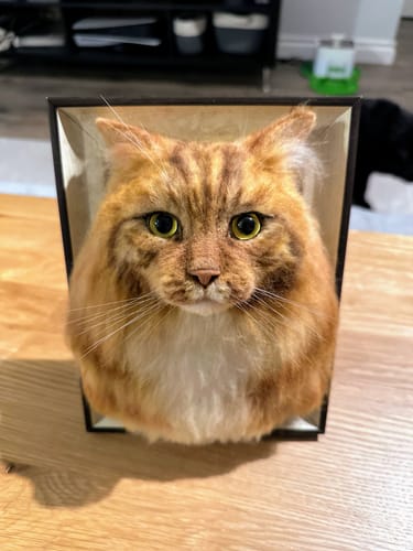 My Woolever Friend Reviews - 189 Reviews | mywooleverfriend.com