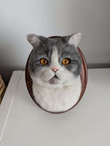 My Woolever Friend Reviews - 189 Reviews | mywooleverfriend.com