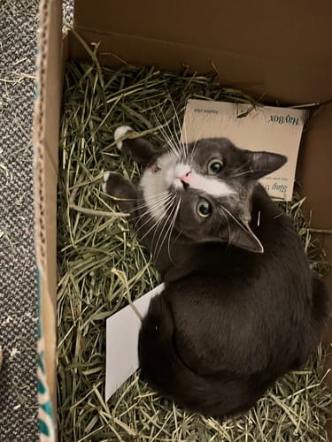 Hay Box Reviews - 12,915 Reviews | haybox.club