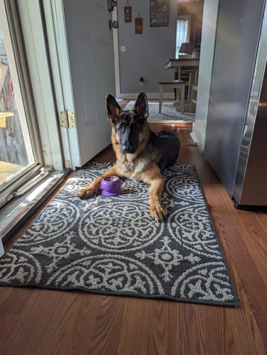 Freezbone Reviews - 2,003 Reviews | www.freezbone.com