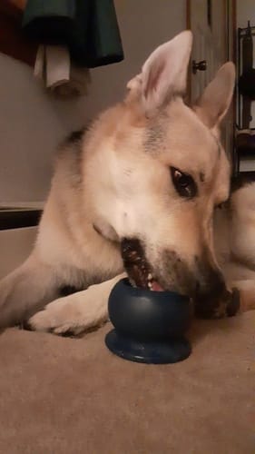 Freezbone Reviews - 2,003 Reviews | www.freezbone.com