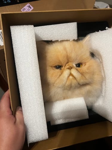 My Woolever Friend Reviews - 189 Reviews | mywooleverfriend.com