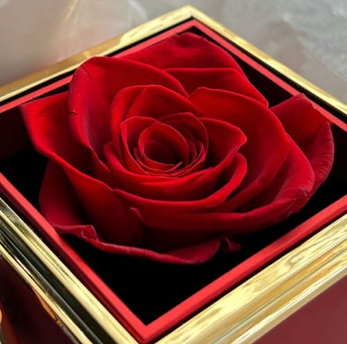 Be Loving Reviews - 13 Reviews | belovingco.com